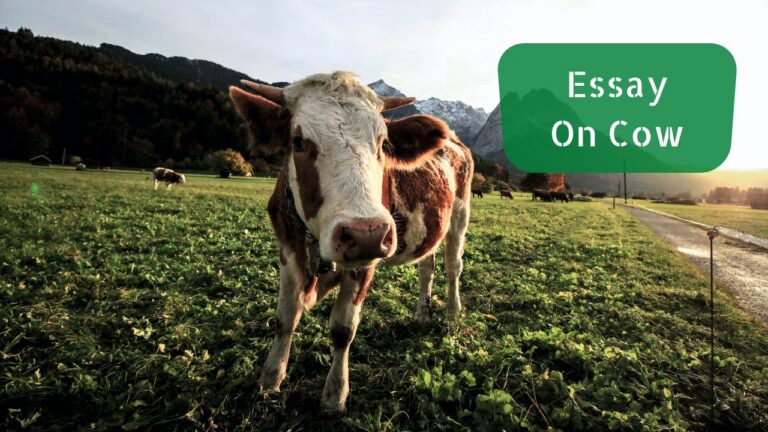 Essay on Cow 15 Lines - Motive English